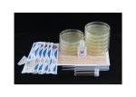 EZ BioResearch Bacteria Science Kit (STEM) | Momma's Bacon