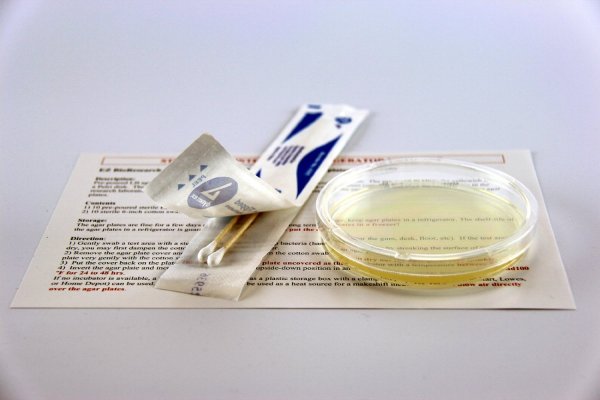 EZ BioResearch Bacteria Science Kit (STEM) | Momma's Bacon