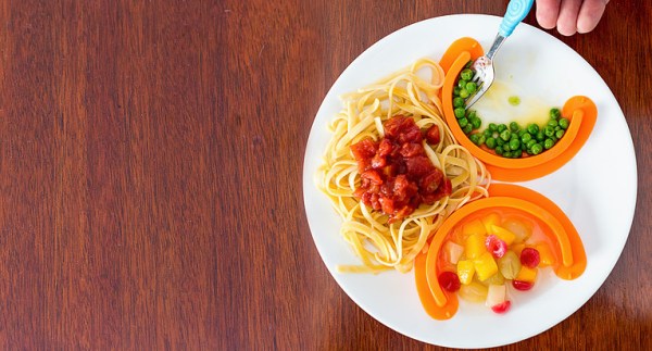 The Food Cubby – Keeping Food in its Place *Coupon Code* | Momma's Bacon