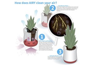 AIRY Air Purifier | Momma's Bacon