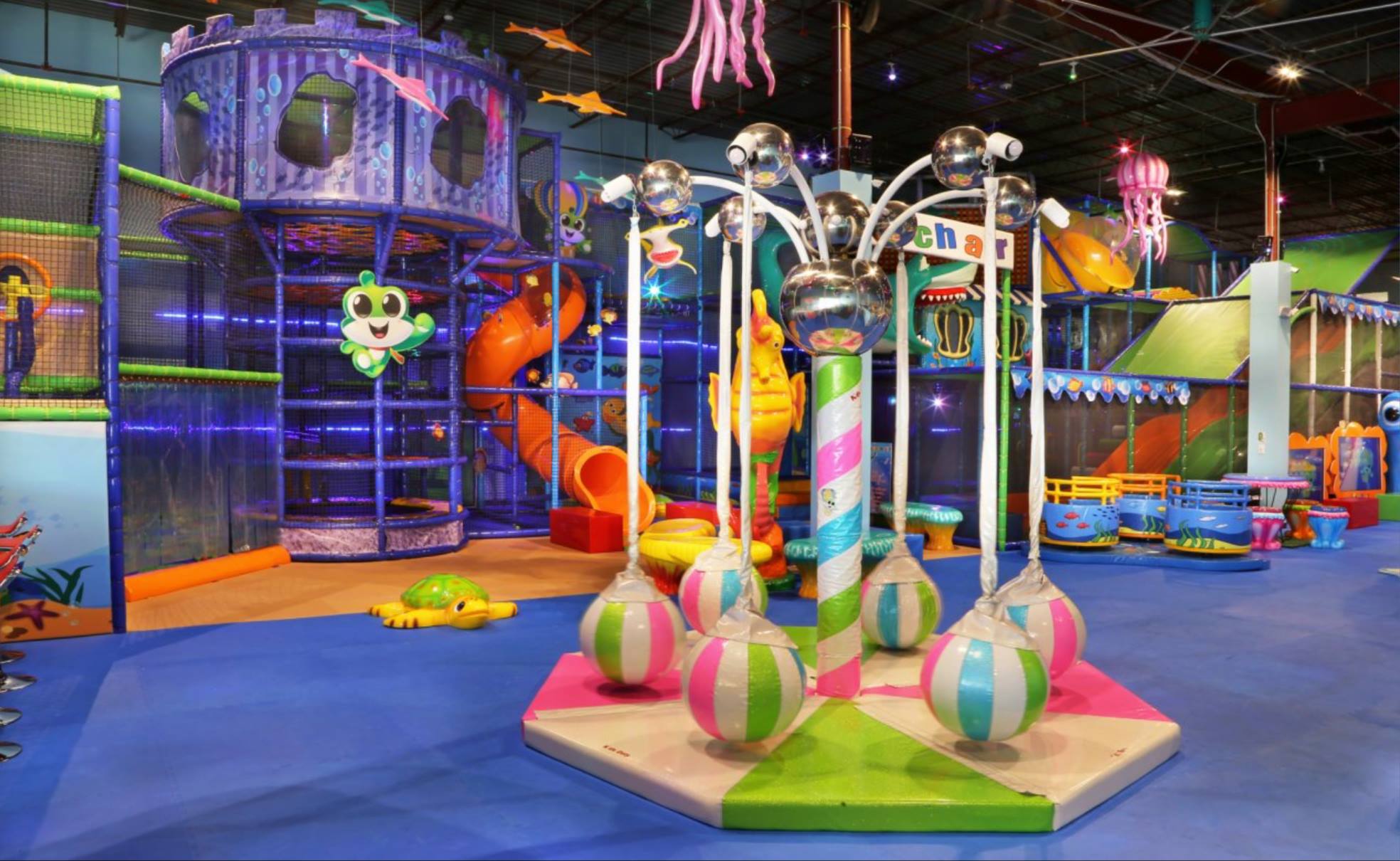 Catch Air Austin (Local Austin, Texas) | Momma's Bacon