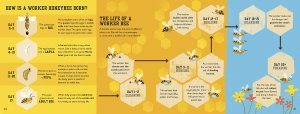The Bee Book (Hardcover) | Momma's Bacon