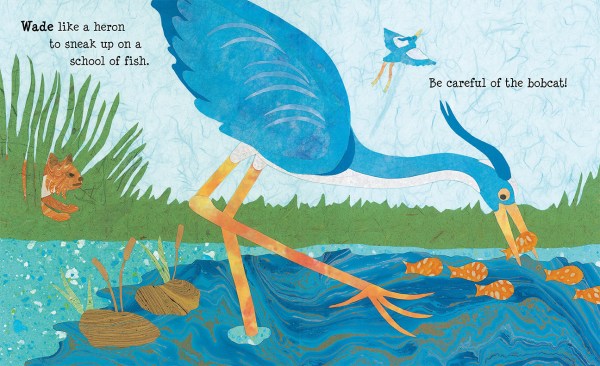 Paddle Perch Climb: Bird Feet Are Neat (Paperback) | Momma's Bacon